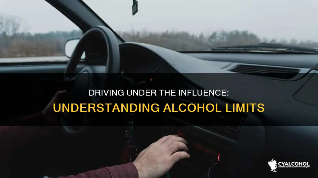 Driving Under The Influence: Understanding Alcohol Limits | CyAlcohol