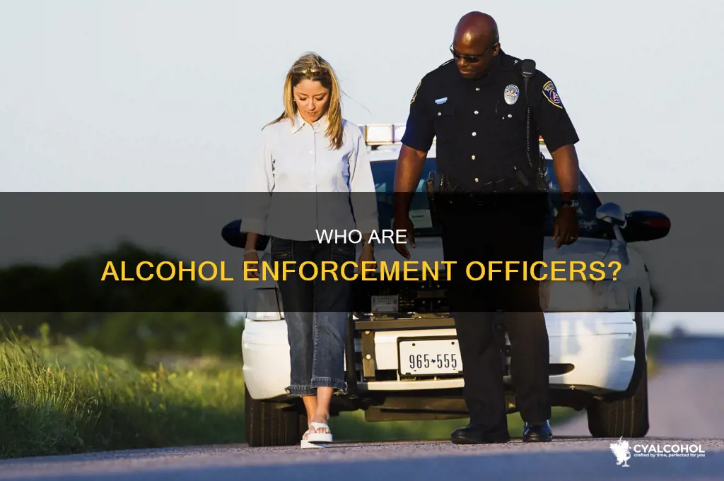 Who Are Alcohol Enforcement Officers? | CyAlcohol