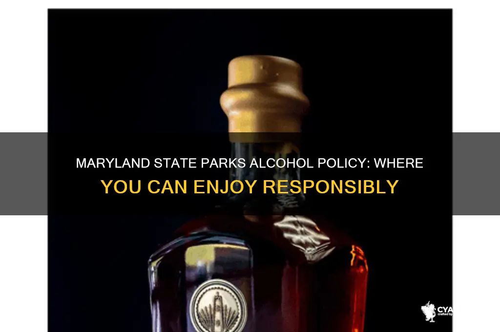 Maryland State Parks Alcohol Policy: Where You Can Enjoy Responsibly ...