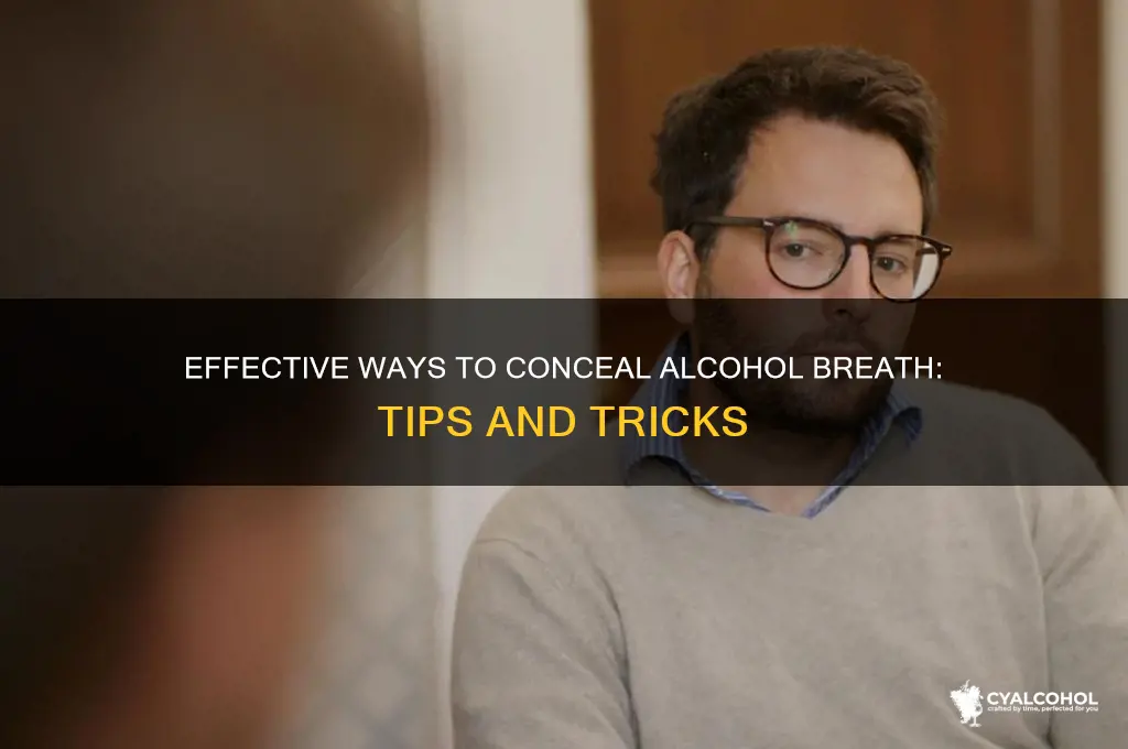 Effective Ways To Conceal Alcohol Breath: Tips And Tricks | CyAlcohol