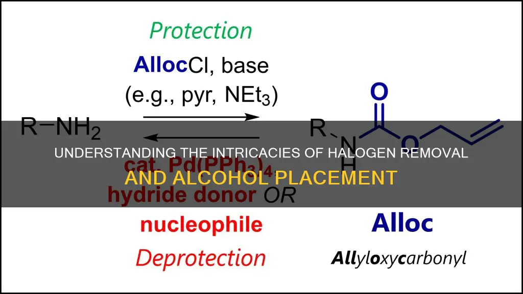 Understanding The Intricacies Of Halogen Removal And Alcohol Placement ...