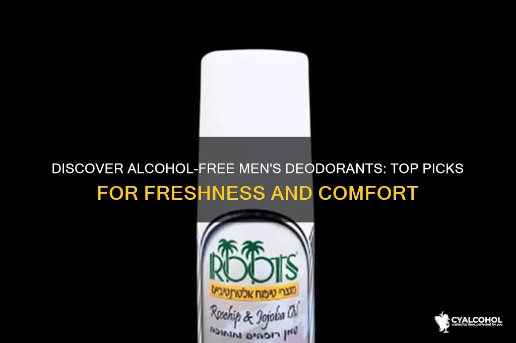 Discover Alcohol-Free Men's Deodorants: Top Picks For Freshness And ...