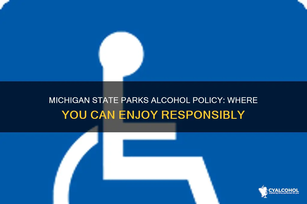 Michigan State Parks Alcohol Policy: Where You Can Enjoy Responsibly ...