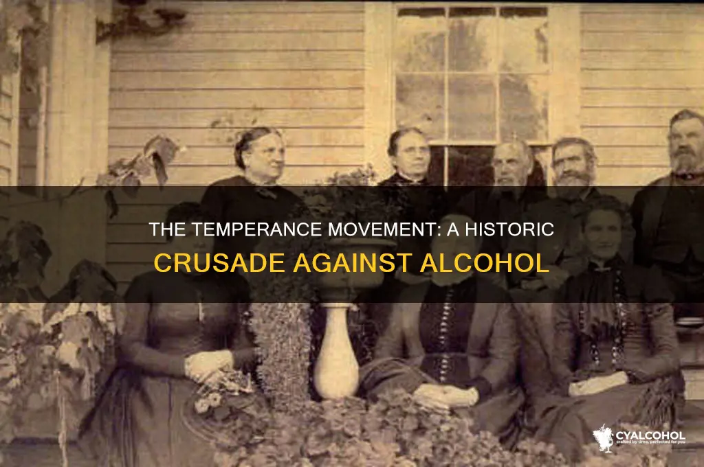 The Temperance Movement: A Historic Crusade Against Alcohol | CyAlcohol