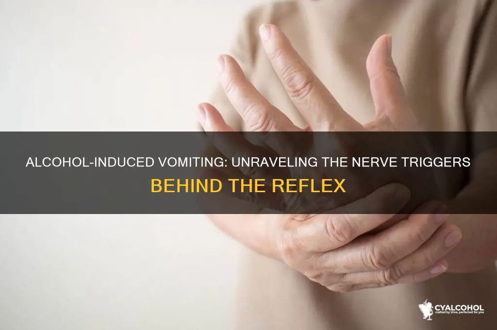 Alcohol-Induced Vomiting: Unraveling The Nerve Triggers Behind The ...