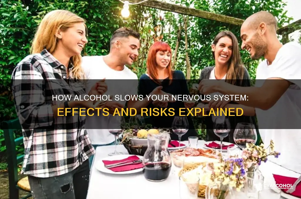 How Alcohol Slows Your Nervous System: Effects And Risks Explained ...