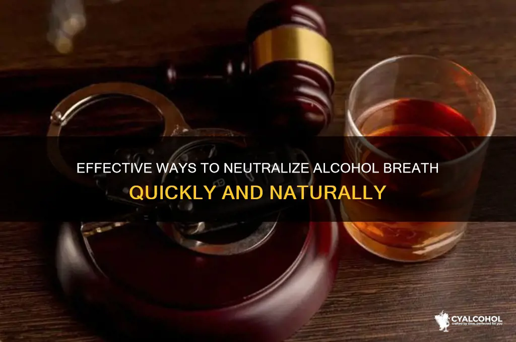 Effective Ways To Neutralize Alcohol Breath Quickly And Naturally ...