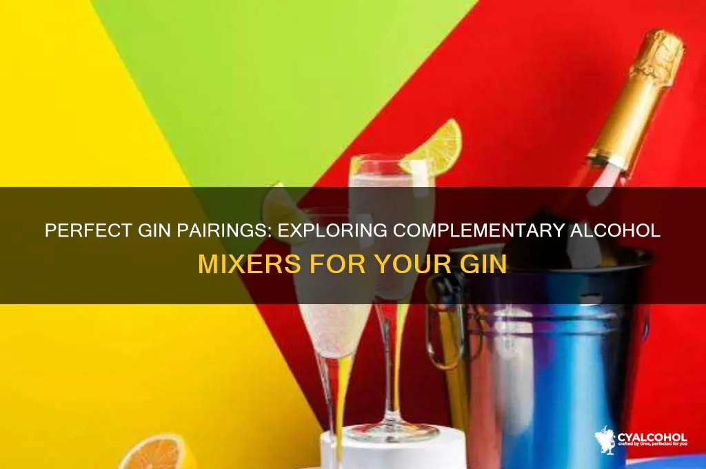 Perfect Gin Pairings: Exploring Complementary Alcohol Mixers For Your ...
