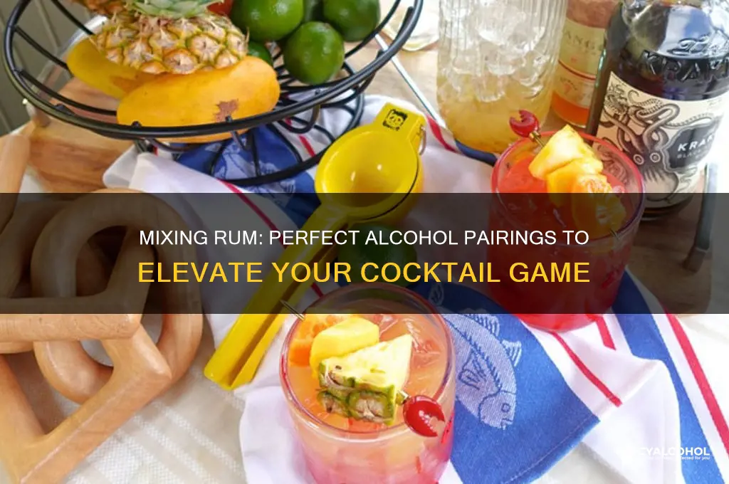 Mixing Rum: Perfect Alcohol Pairings To Elevate Your Cocktail Game ...