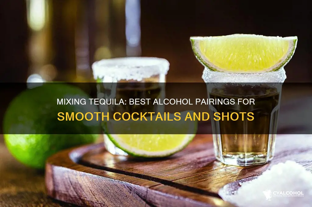 Mixing Tequila: Best Alcohol Pairings For Smooth Cocktails And Shots ...