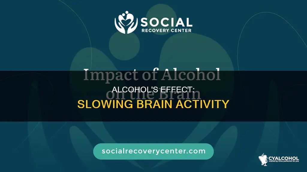 Alcohol's Effect: Slowing Brain Activity | CyAlcohol
