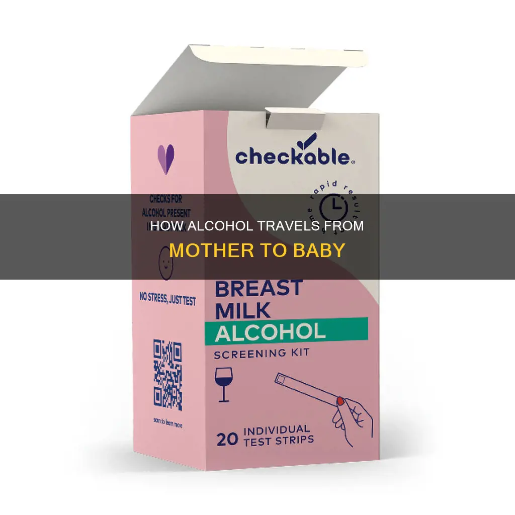 How Alcohol Travels From Mother To Baby | CyAlcohol