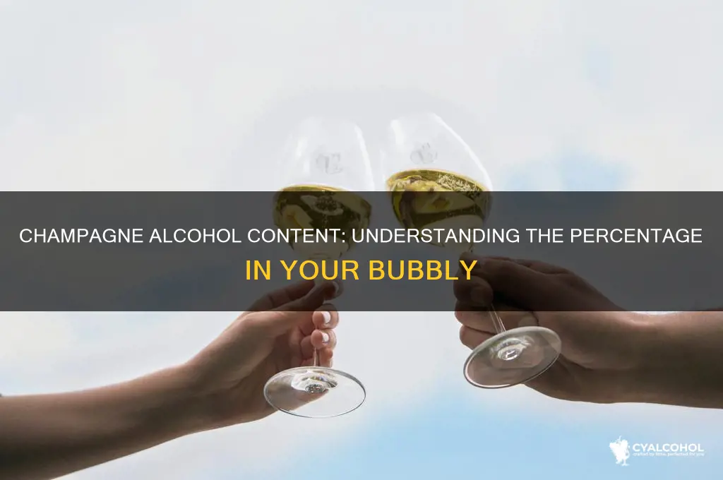Champagne Alcohol Content: Understanding The Percentage In Your Bubbly ...