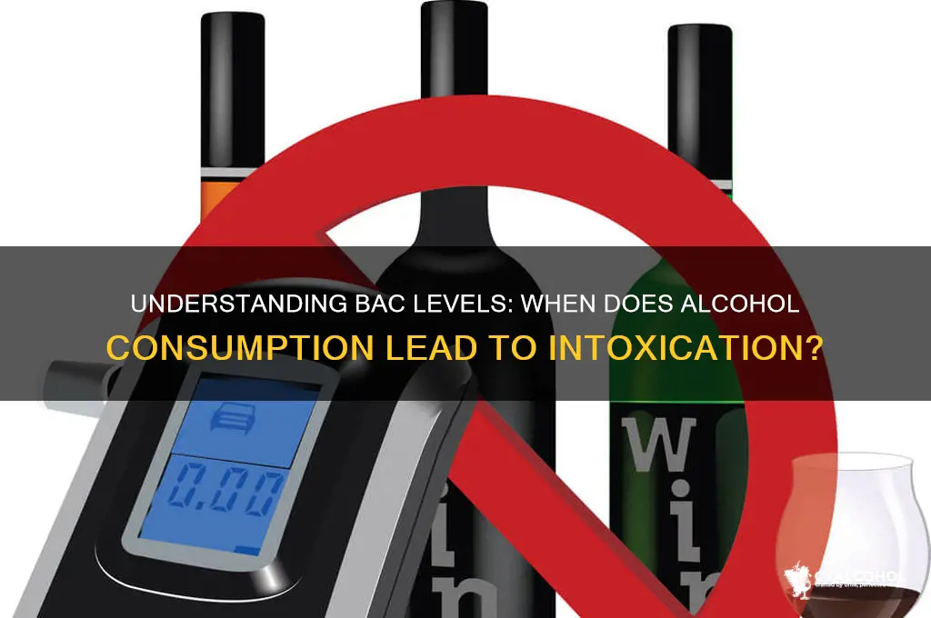 Understanding Bac Levels: When Does Alcohol Consumption Lead To ...