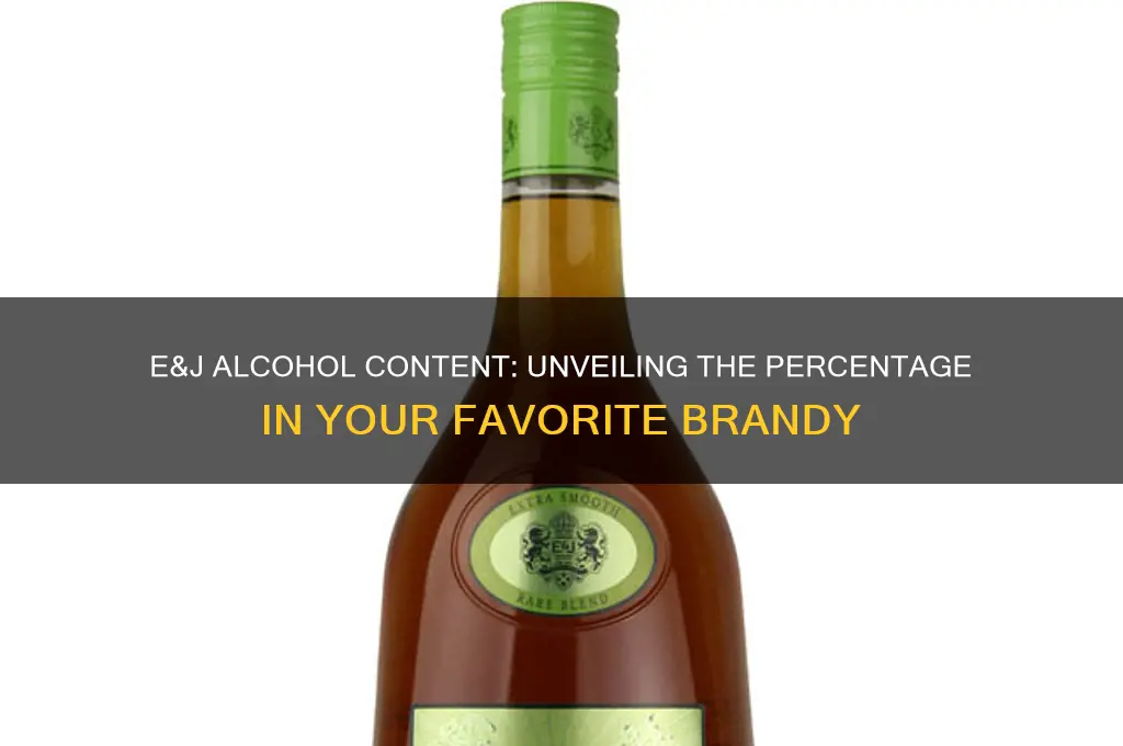 E&J Alcohol Content: Unveiling The Percentage In Your Favorite Brandy ...