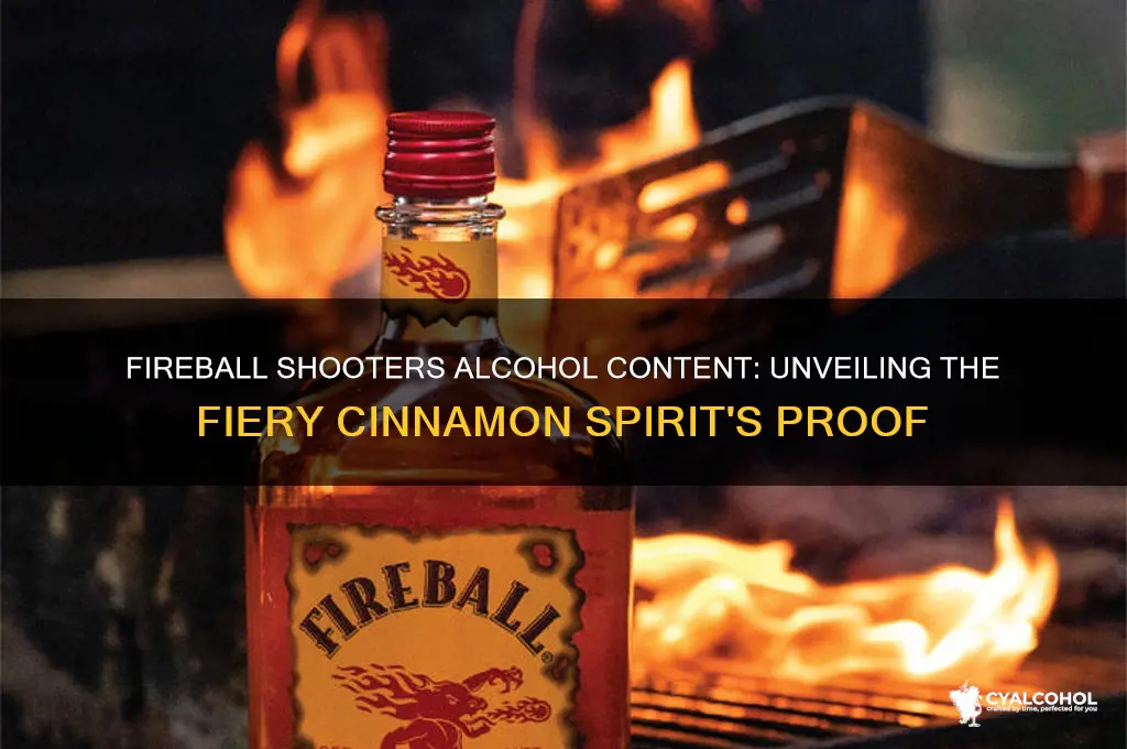 Fireball Shooters Alcohol Content: Unveiling The Fiery Cinnamon Spirit ...