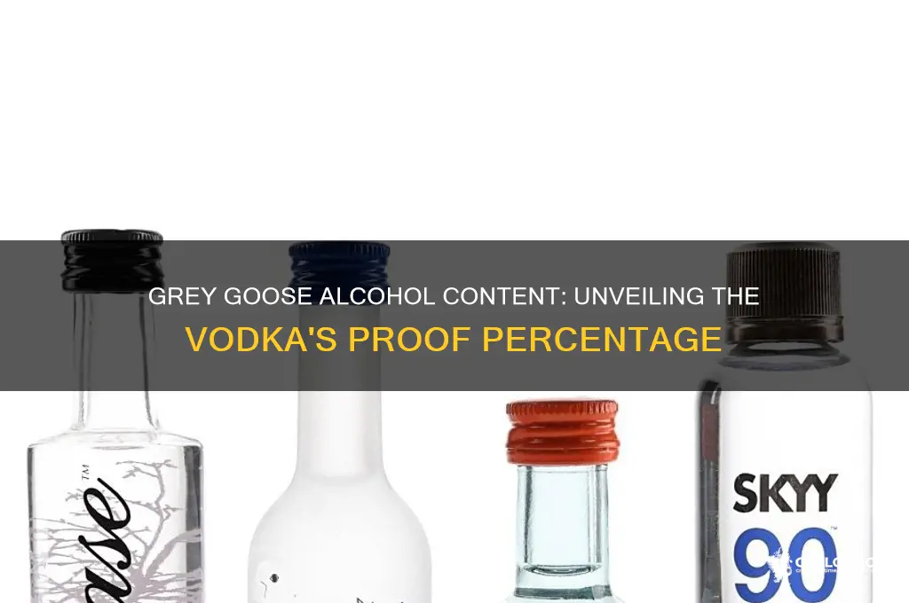 Grey Goose Alcohol Content: Unveiling The Vodka's Proof Percentage ...