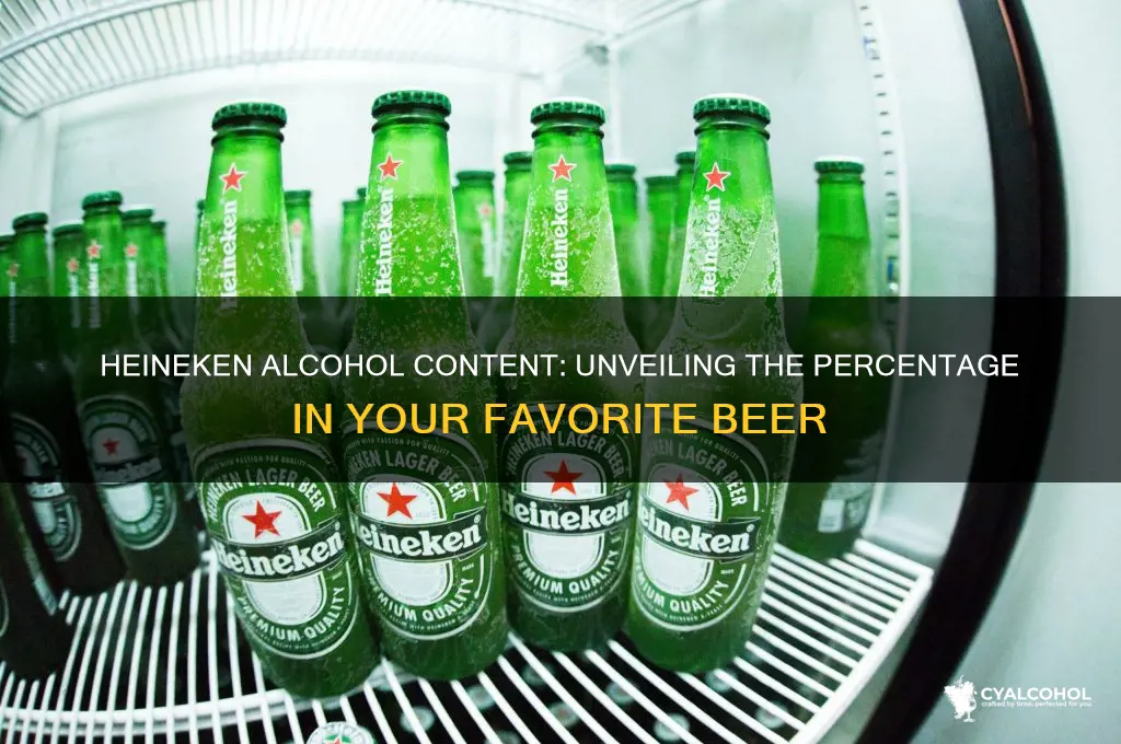 Heineken Alcohol Content: Unveiling The Percentage In Your Favorite ...
