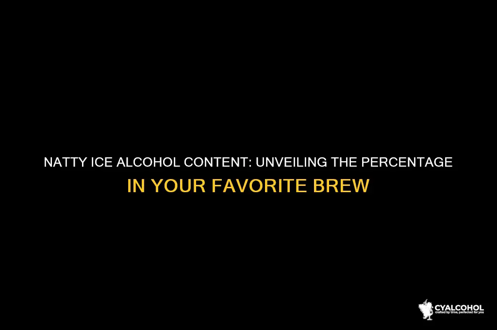 Natty Ice Alcohol Content: Unveiling The Percentage In Your Favorite ...