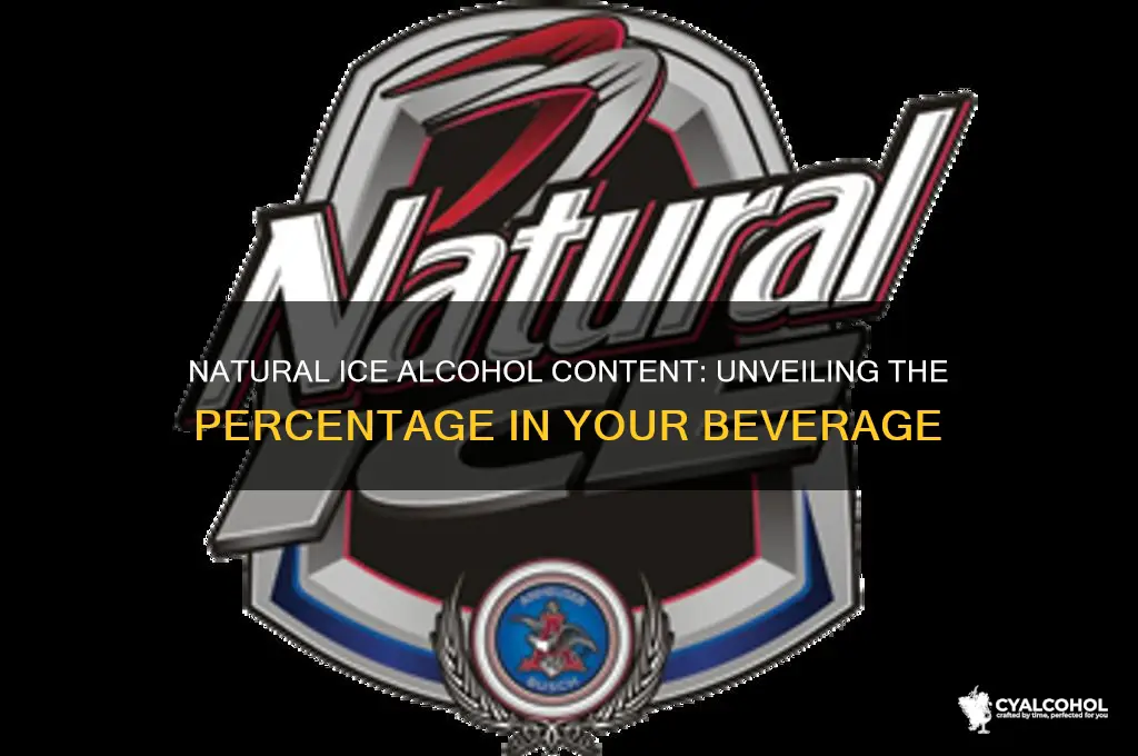 Natural Ice Alcohol Content: Unveiling The Percentage In Your Beverage ...