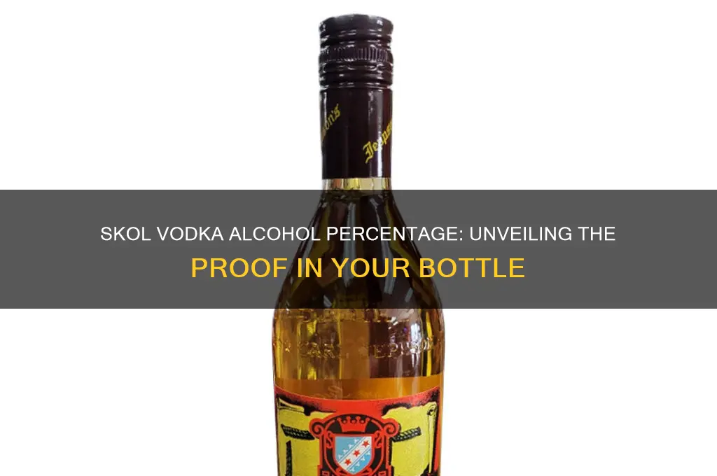 Skol Vodka Alcohol Percentage: Unveiling The Proof In Your Bottle ...