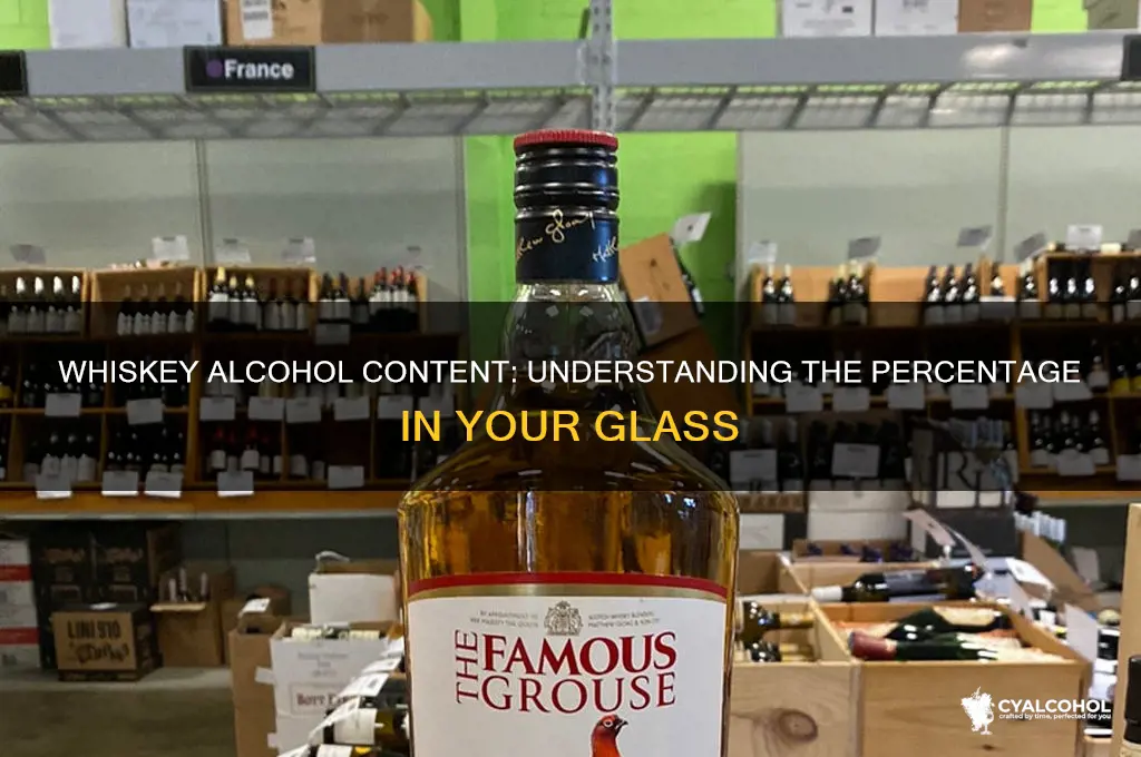 Whiskey Alcohol Content: Understanding The Percentage In Your Glass ...