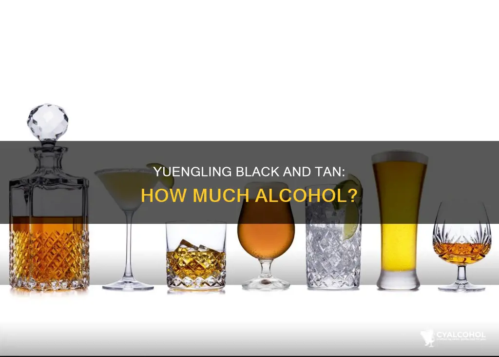Yuengling Black And Tan: How Much Alcohol? | CyAlcohol