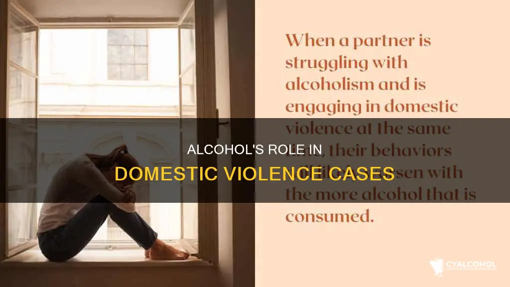 Alcohol's Role In Domestic Violence Cases | CyAlcohol
