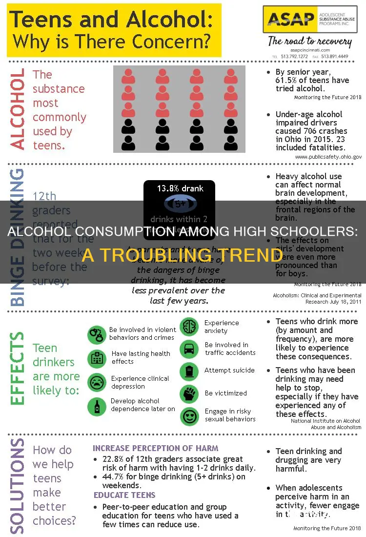 Alcohol Consumption Among High Schoolers: A Troubling Trend | CyAlcohol