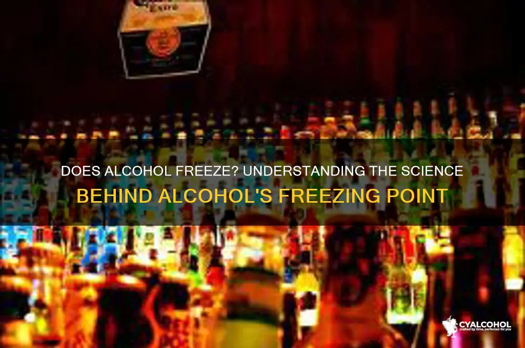 Does Alcohol Freeze? Understanding The Science Behind Alcohol's ...