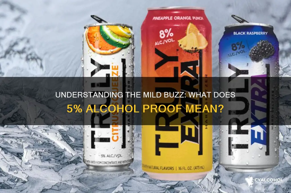Understanding The Mild Buzz: What Does 5% Alcohol Proof Mean? | CyAlcohol