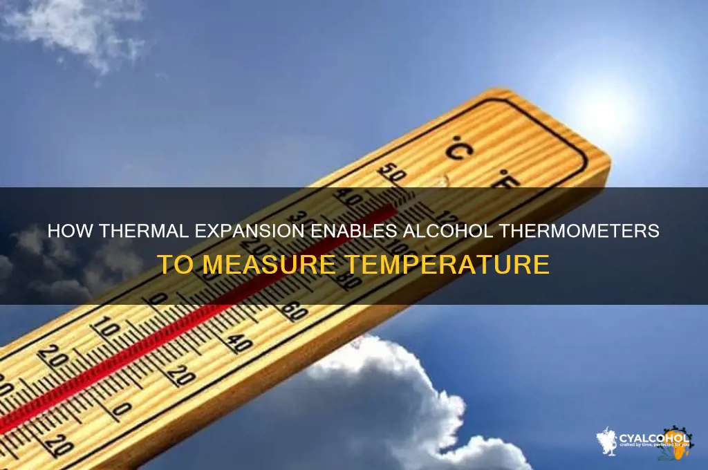 How Thermal Expansion Enables Alcohol Thermometers To Measure ...