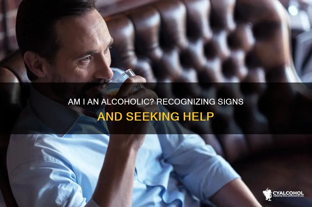 Am I An Alcoholic? Recognizing Signs And Seeking Help | CyAlcohol