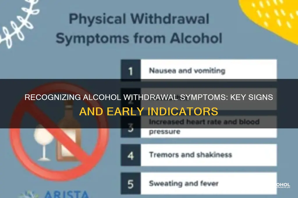 Recognizing Alcohol Withdrawal Symptoms: Key Signs And Early Indicators ...