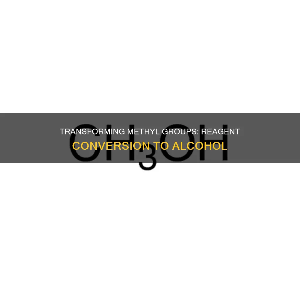 Transforming Methyl Groups: Reagent Conversion To Alcohol | CyAlcohol