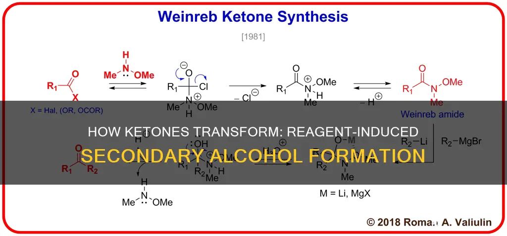 How Ketones Transform: Reagent-Induced Secondary Alcohol Formation ...