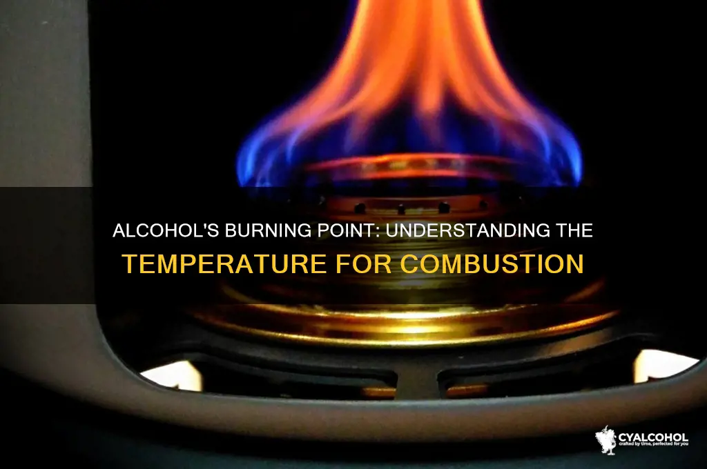 Alcohol's Burning Point: Understanding The Temperature For Combustion ...