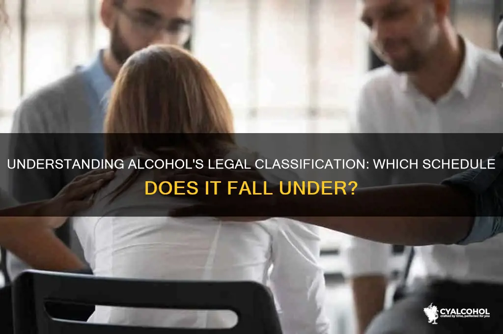 Understanding Alcohol's Legal Classification: Which Schedule Does It ...
