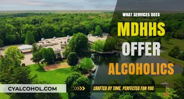 Mdhhs Services For Alcoholics: Support, Treatment, And Recovery ...