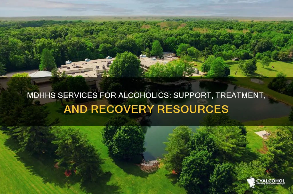 Mdhhs Services For Alcoholics: Support, Treatment, And Recovery ...