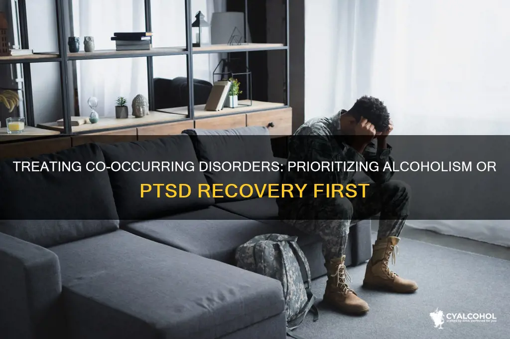 Treating Co-Occurring Disorders: Prioritizing Alcoholism Or Ptsd ...