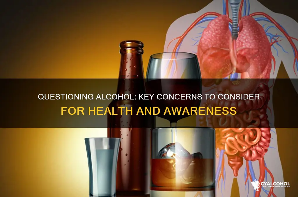 Questioning Alcohol: Key Concerns To Consider For Health And Awareness ...