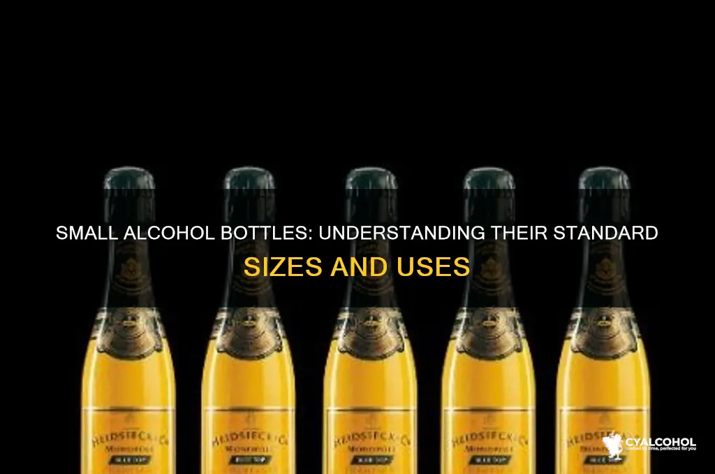 Small Alcohol Bottles: Understanding Their Standard Sizes And Uses ...