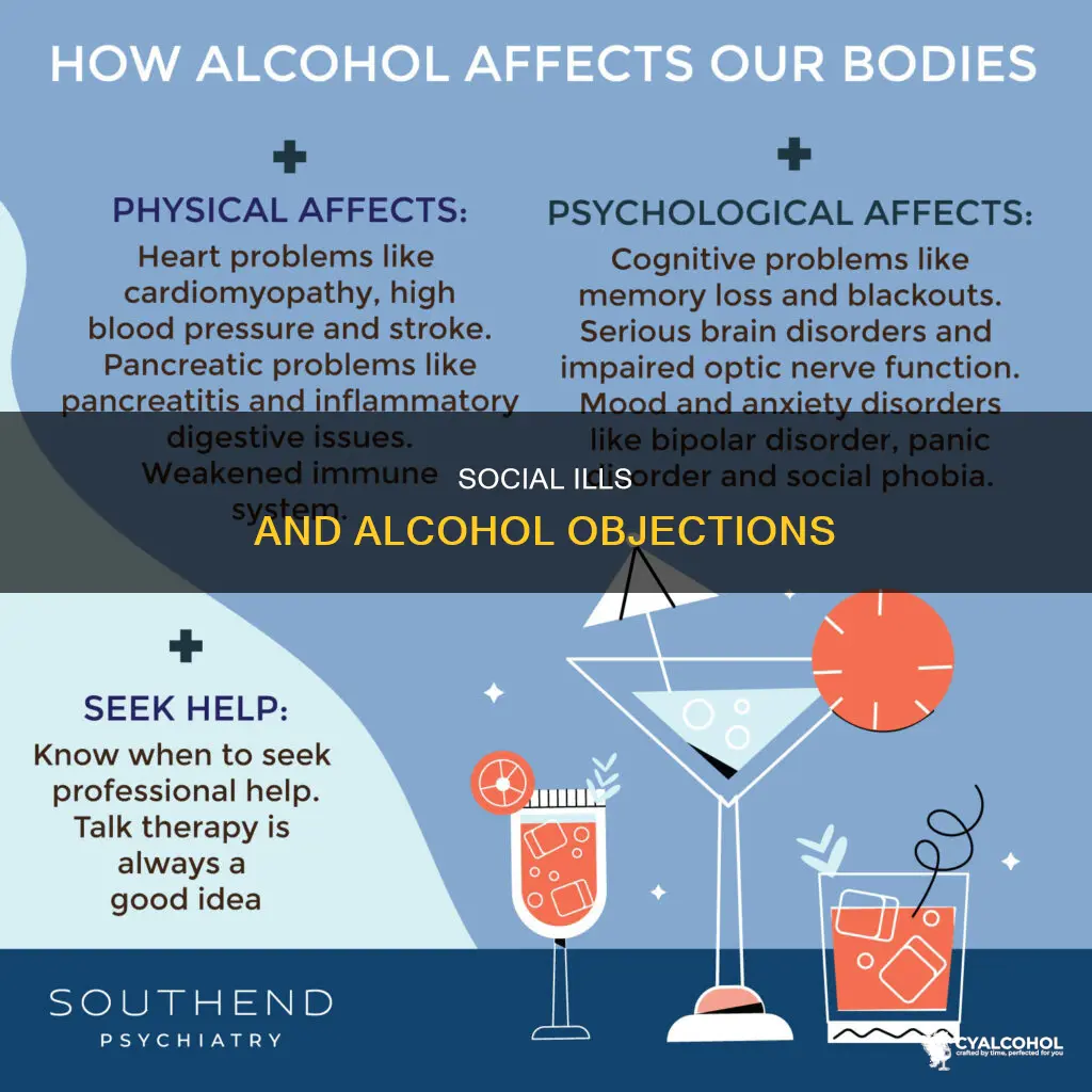 Social Ills And Alcohol Objections | CyAlcohol