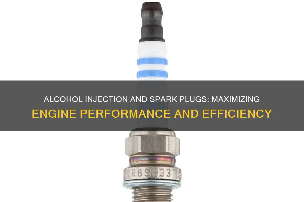 Alcohol Injection And Spark Plugs: Maximizing Engine Performance And ...