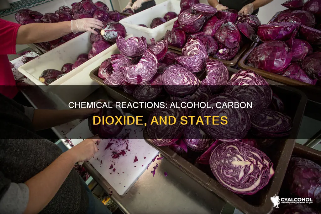 Chemical Reactions: Alcohol, Carbon Dioxide, And States | CyAlcohol