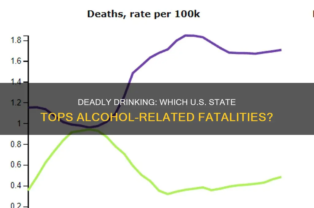 Deadly Drinking: Which U.S. State Tops Alcohol-Related Fatalities ...