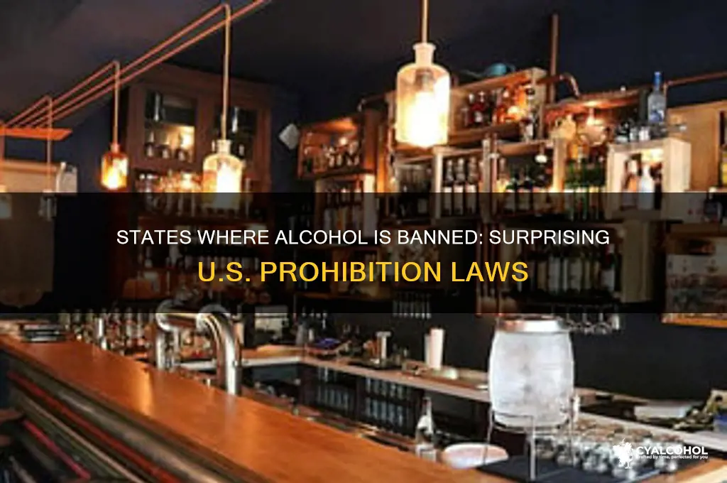 States Where Alcohol Is Banned: Surprising U.S. Prohibition Laws ...