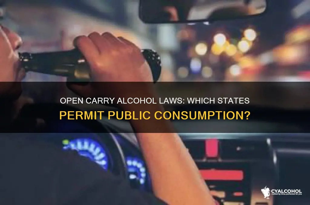 Open Carry Alcohol Laws: Which States Permit Public Consumption ...