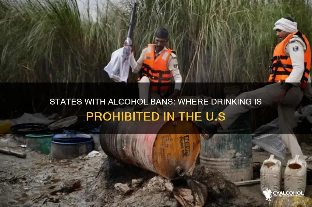 States With Alcohol Bans: Where Drinking Is Prohibited In The U.S ...